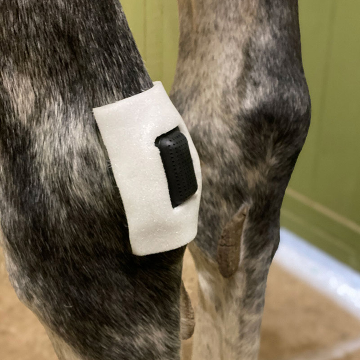 Rheva extrafäste till sårskydd, stl S, 2-pack | Börjes Hästsport