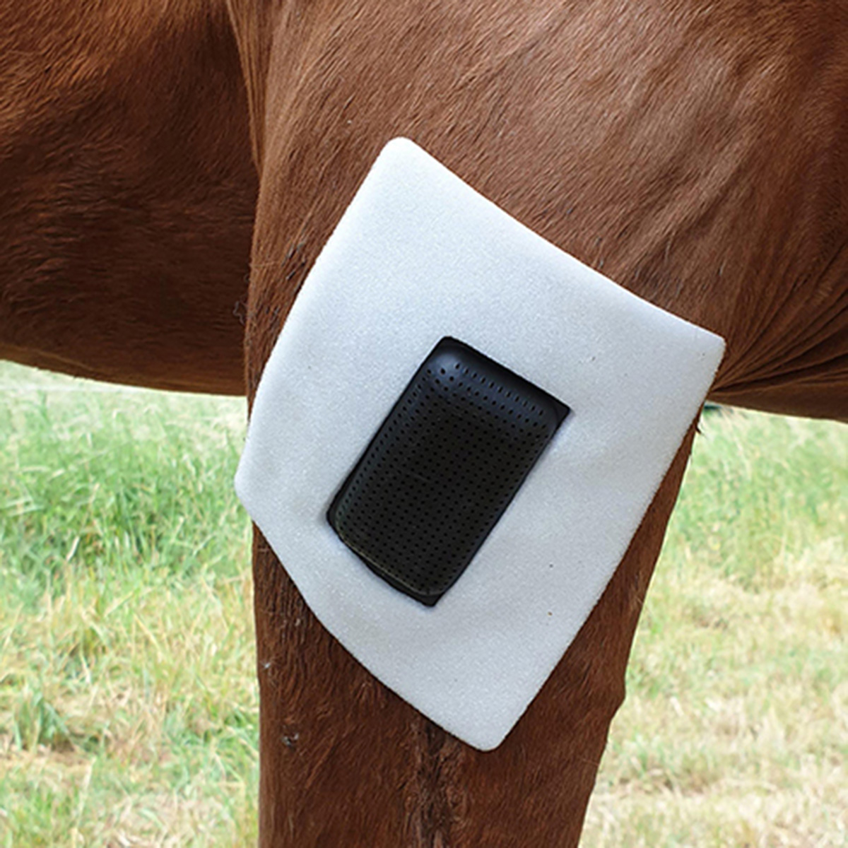 Rheva extrafäste sårskydd L 2-pack | Börjes Hästsport