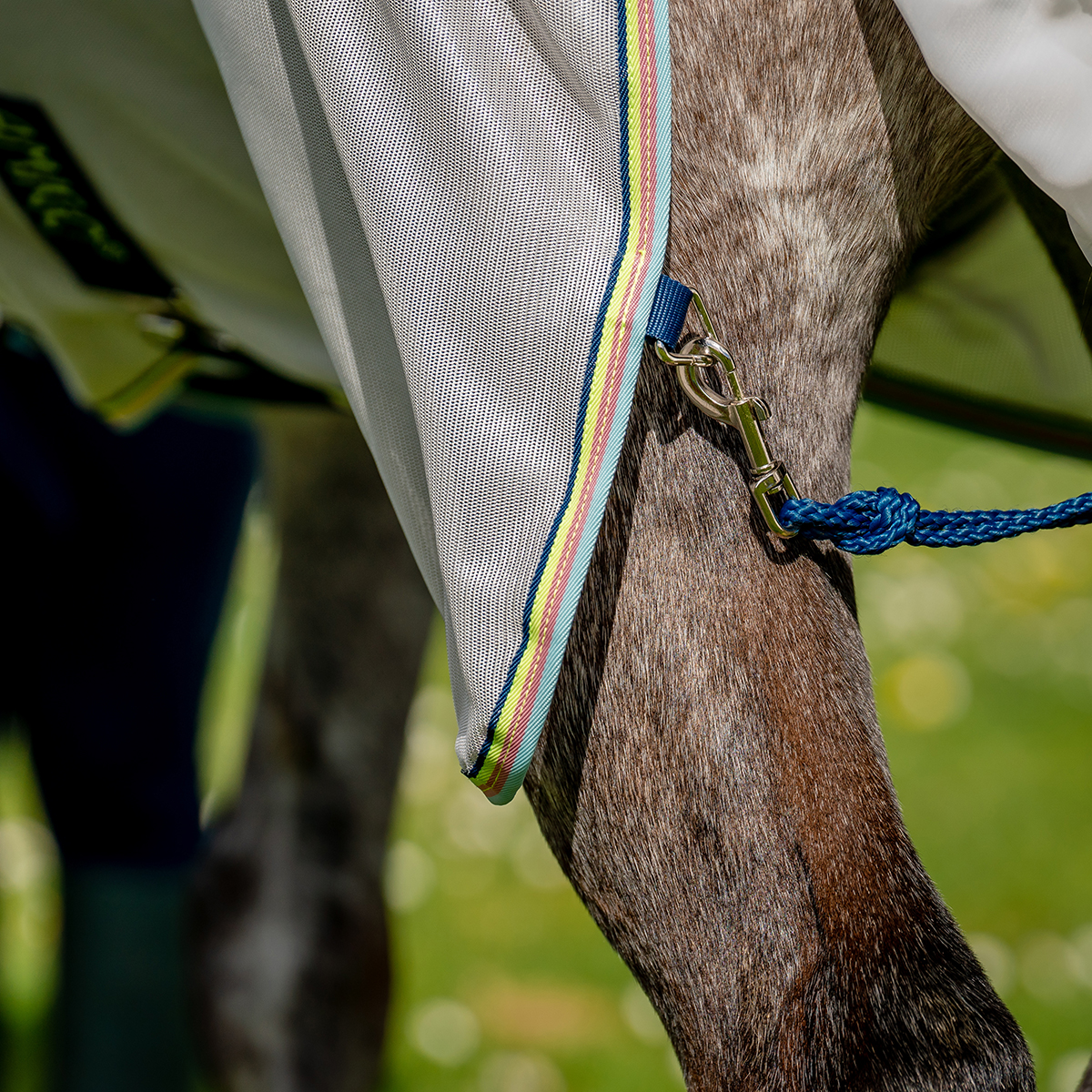 Amigo Bug Rug Plus | Börjes Hästsport