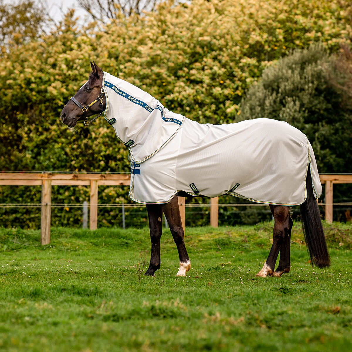 Amigo Bug Rug Plus | Börjes Hästsport