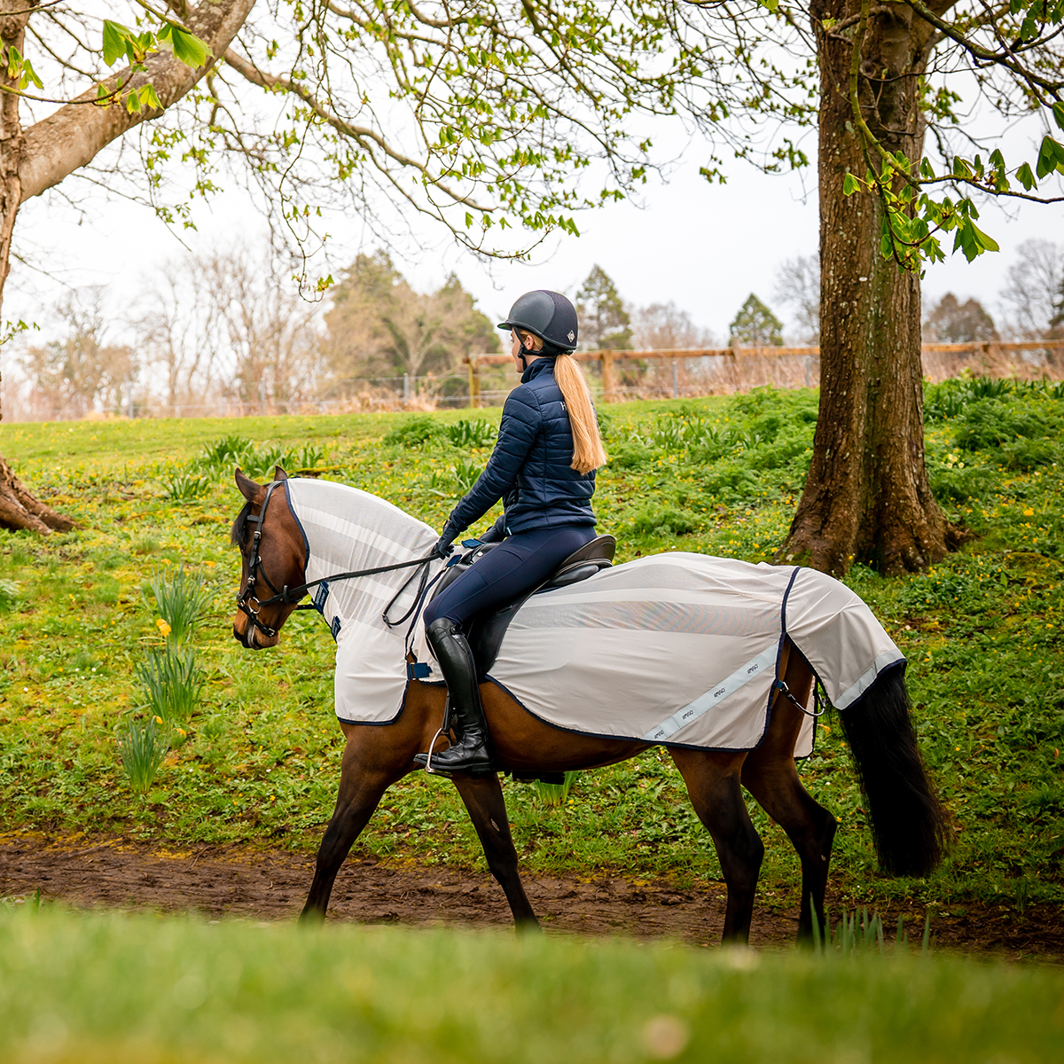 Ridtäcke Amigo Flyrider | Börjes Hästsport