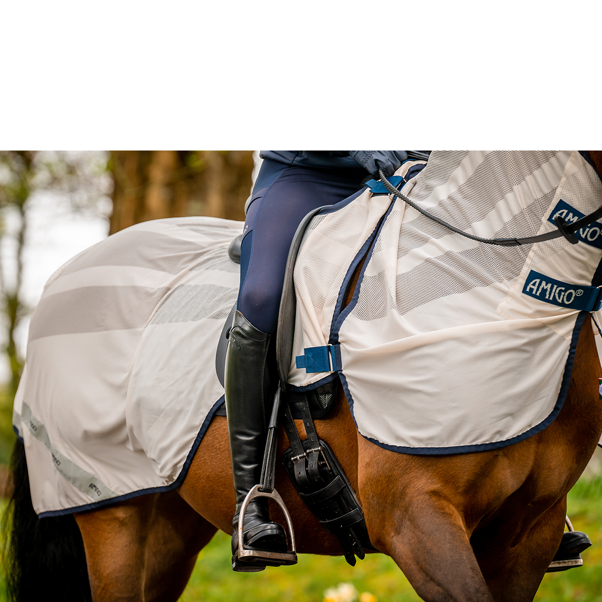 Ridtäcke Amigo Flyrider | Börjes Hästsport