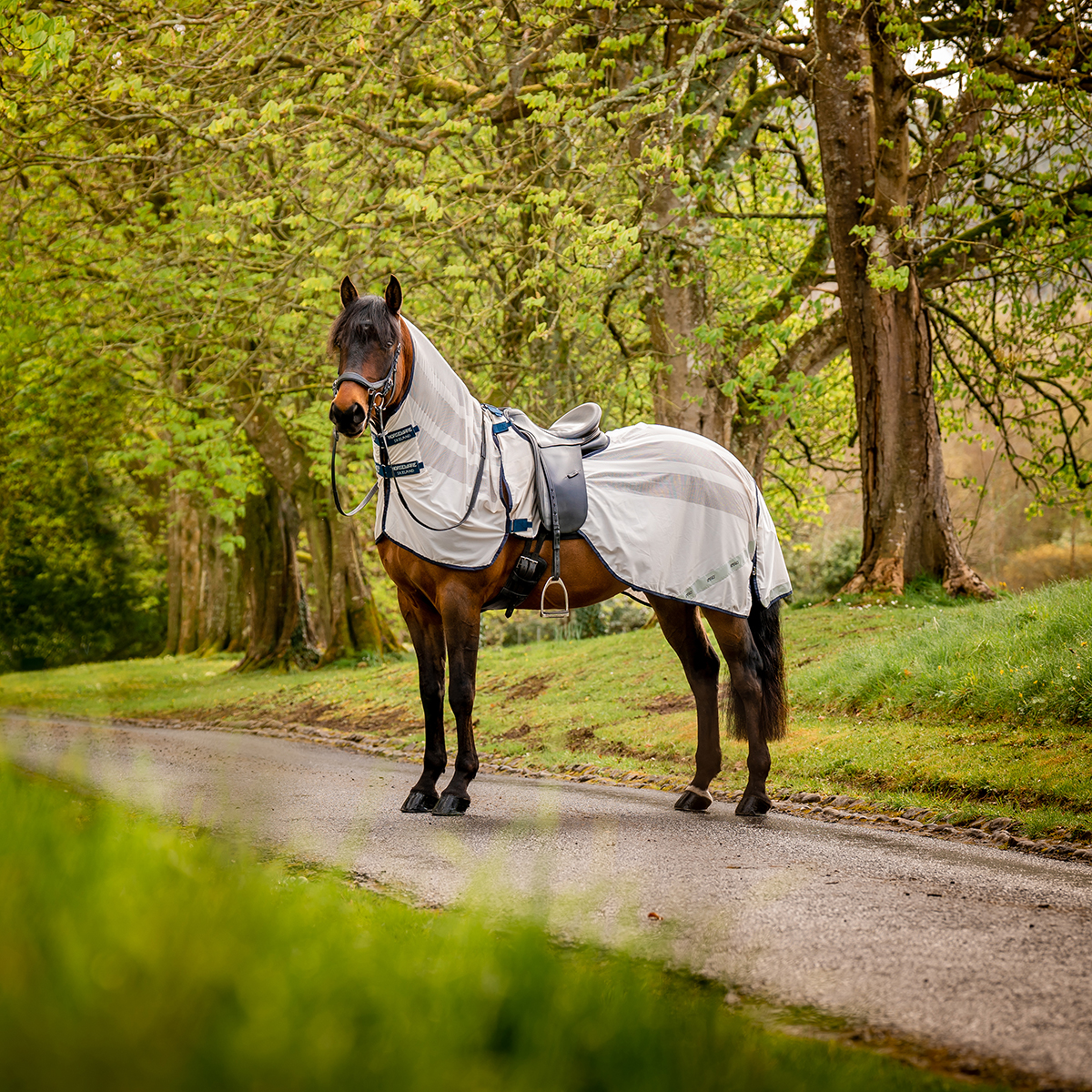 Ridtäcke Amigo Flyrider | Börjes Hästsport