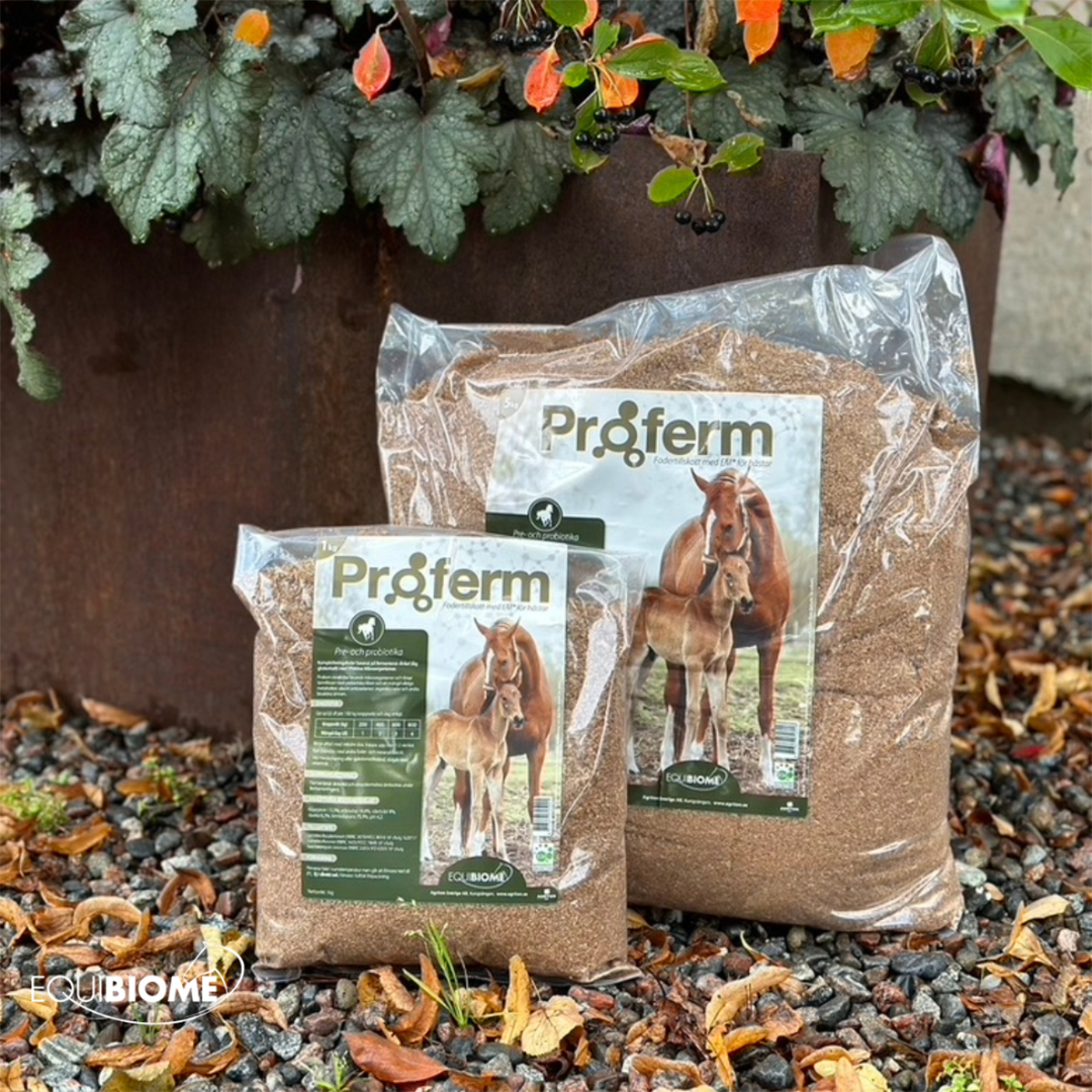 Proferm 5 kg | Börjes Hästsport