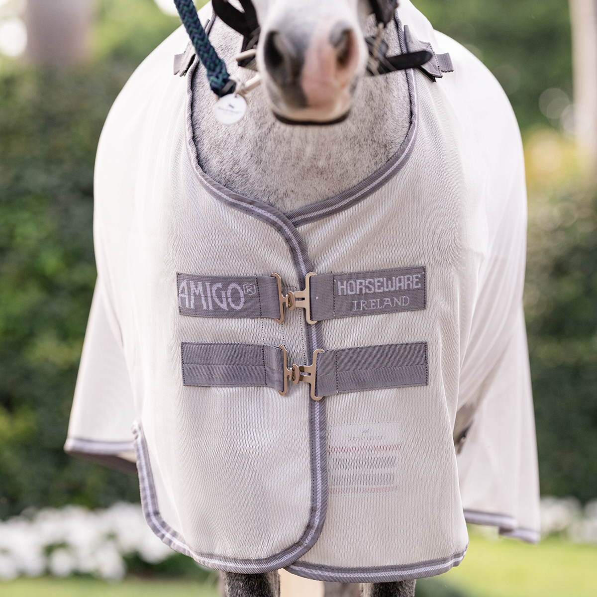 Amigo Bug Rug Plus Ponny | Börjes Hästsport