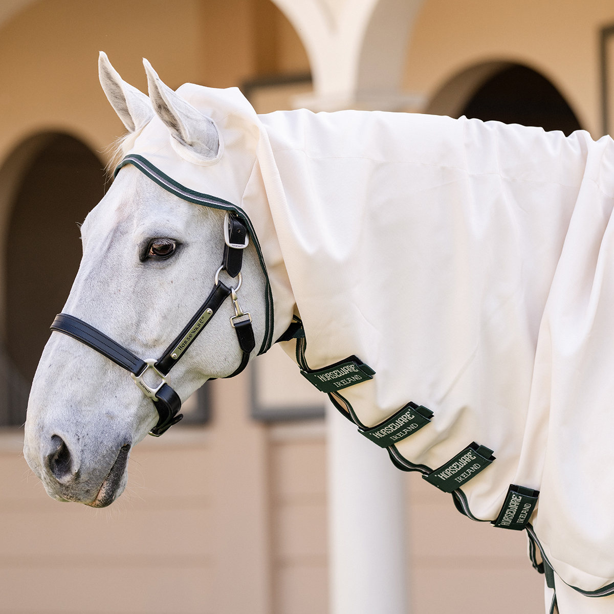 Rambo Hoody | Börjes Hästsport