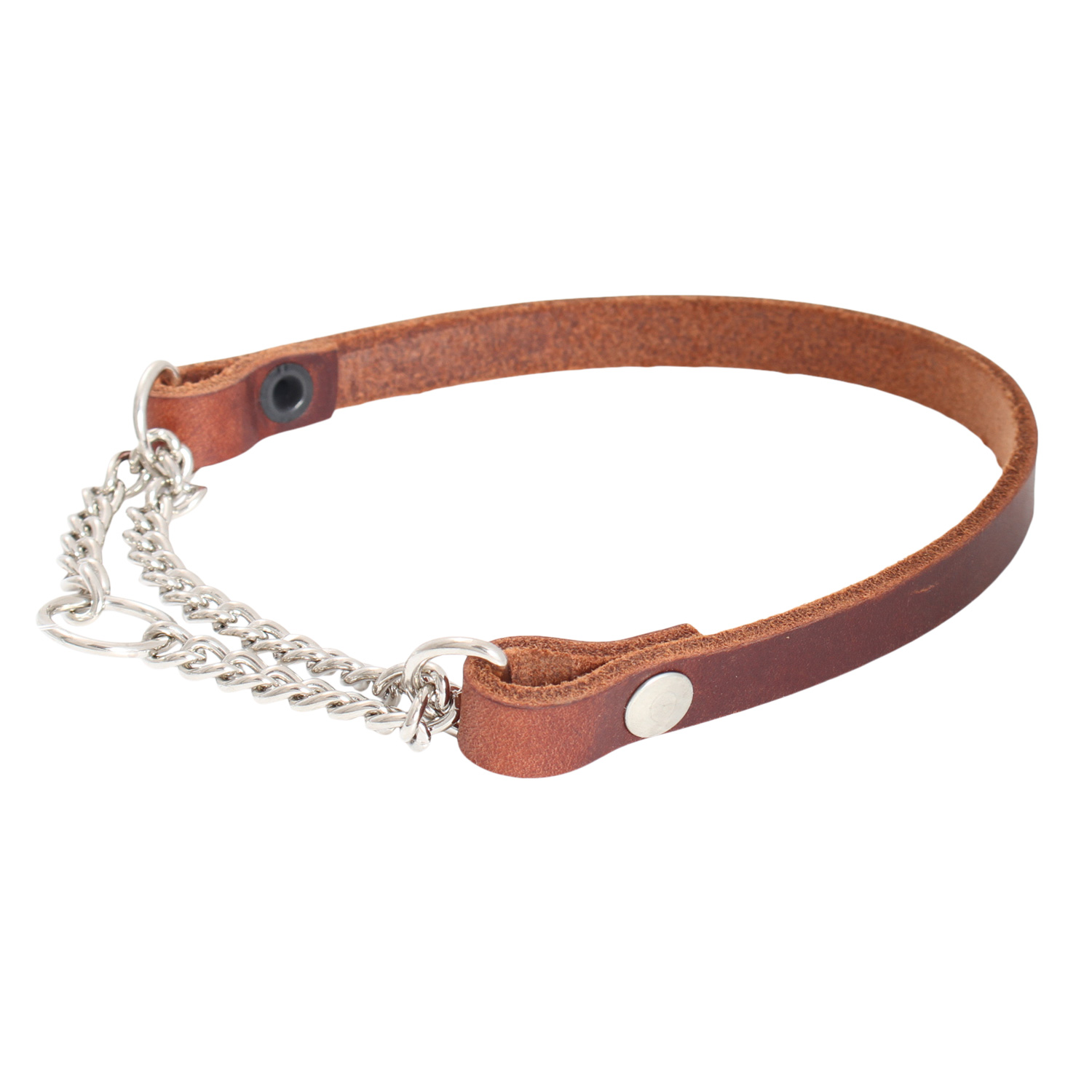 Hundhalsband halvstryp